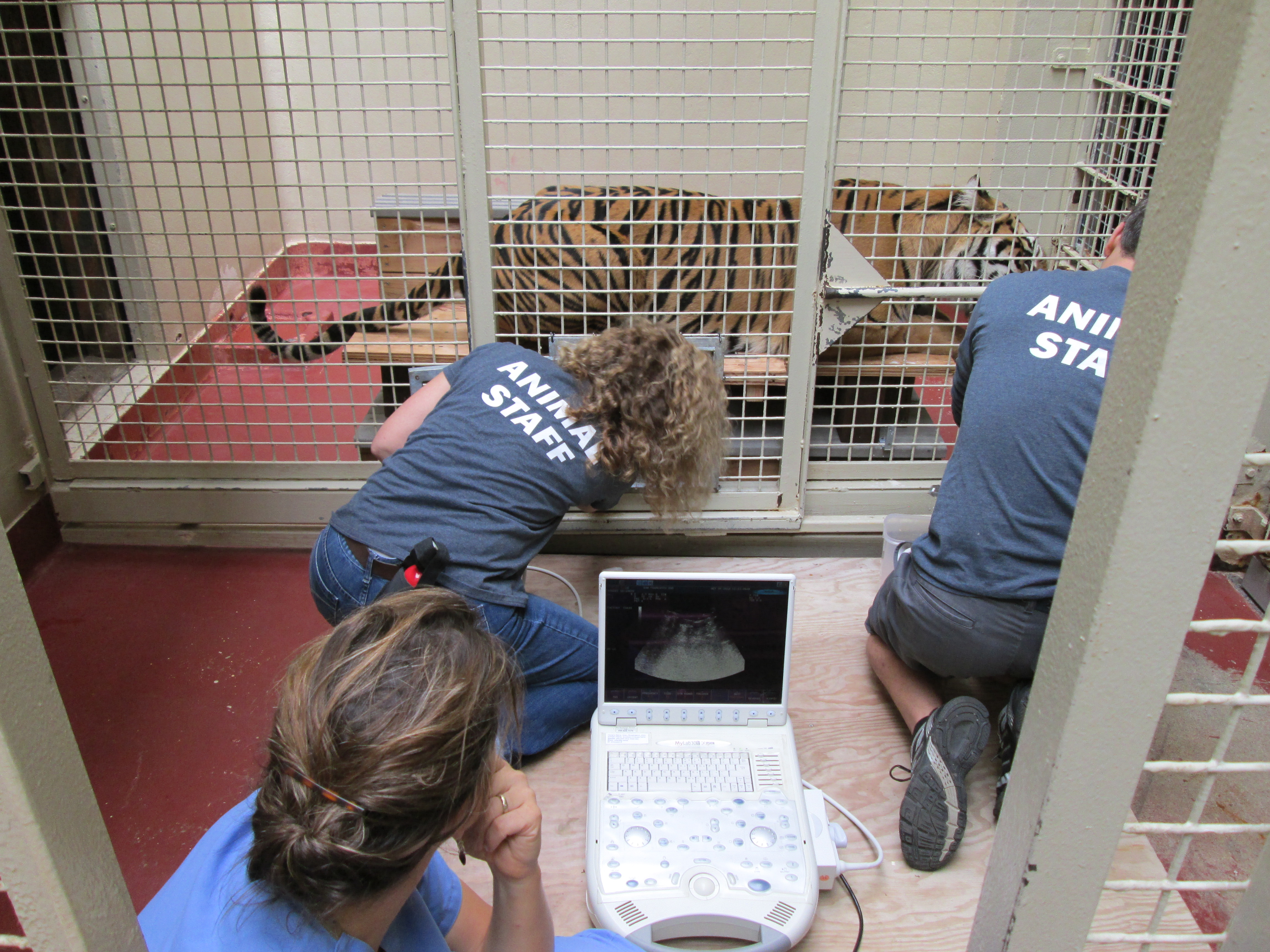 Animal Training And Enrichment Animal Training Academy Animal Training And Enrichment Animal Training Academy