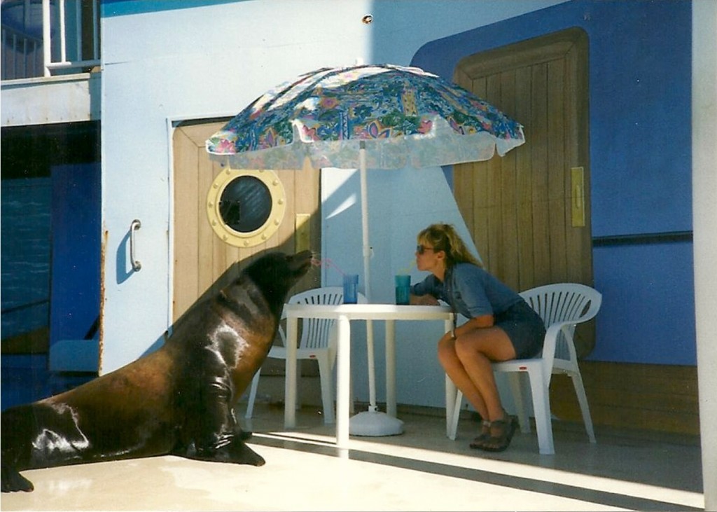 Good animal trianing plans - Animal Training Academy