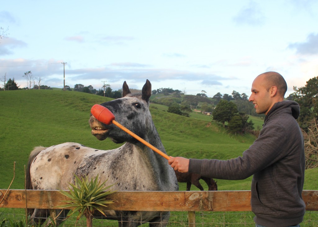 STEP 9. Review your training and shaping plans frequently ... - Animal ...