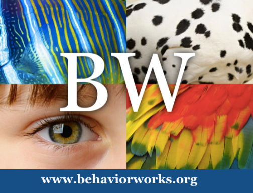 Susan Friedman - Behavior works - Animal Training Academy
