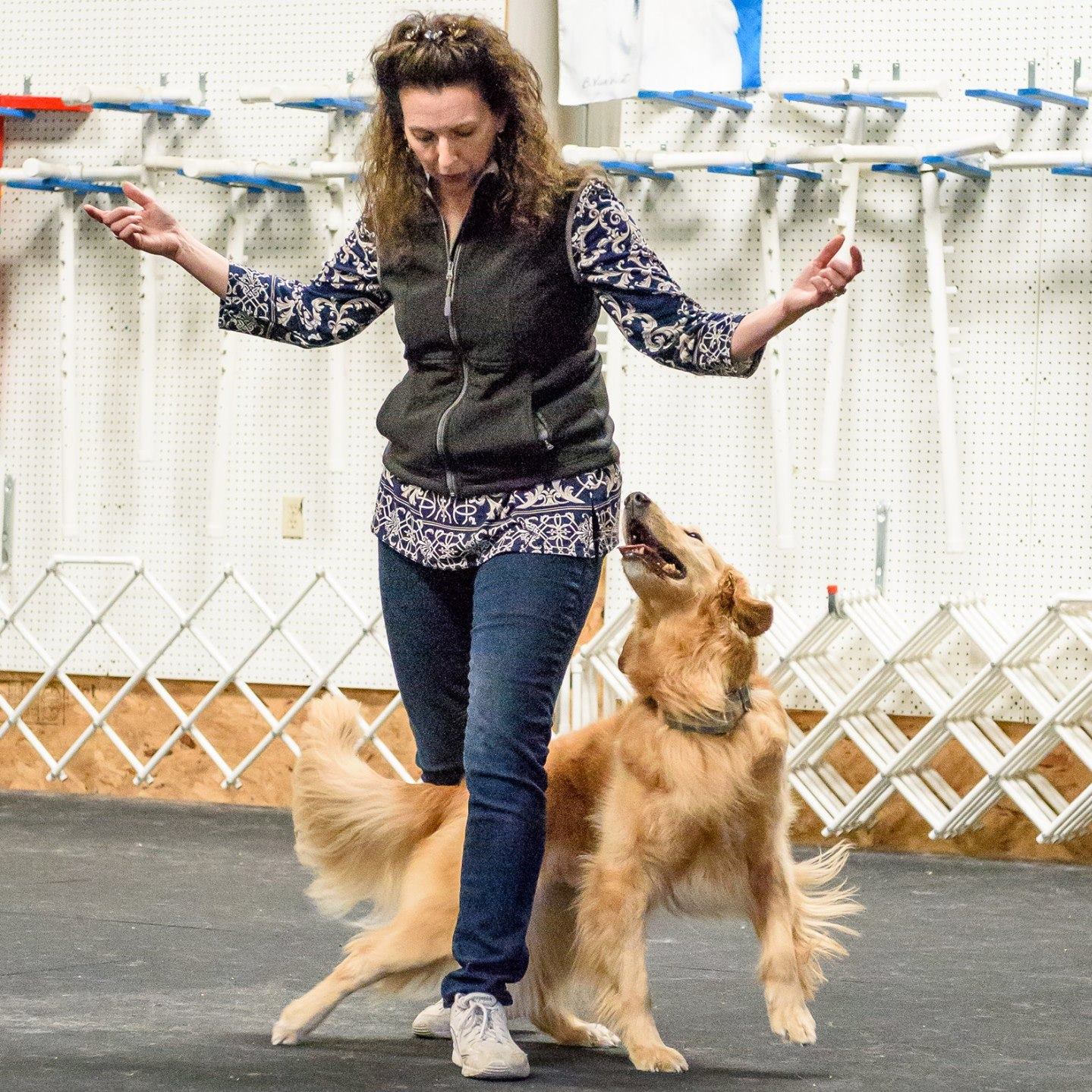 Emma Parsons - Click to calm; Talking aggressive & reactive dogs ...