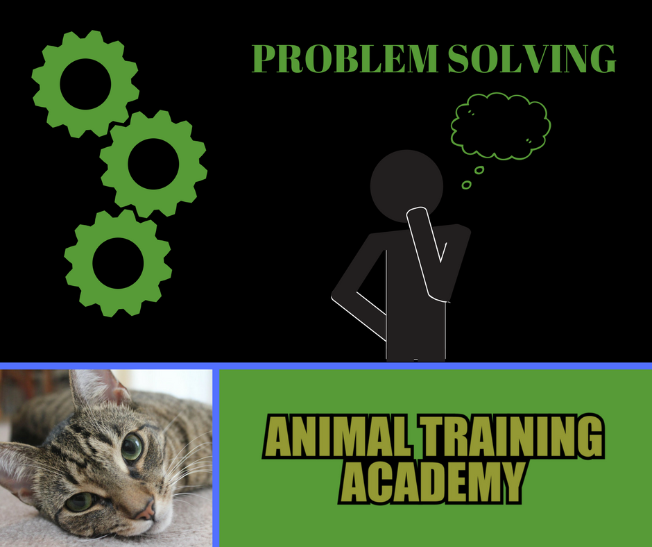 Problem solving (Web-class replay) - Animal Training Academy