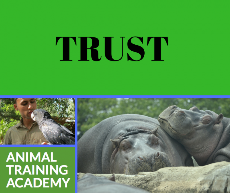 Getting started with behavior - Animal Training Academy