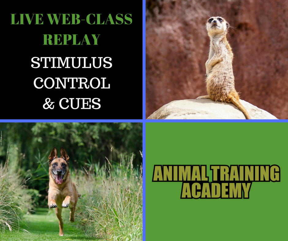 Stimulus control - Cues (Web-class) - Animal Training Academy