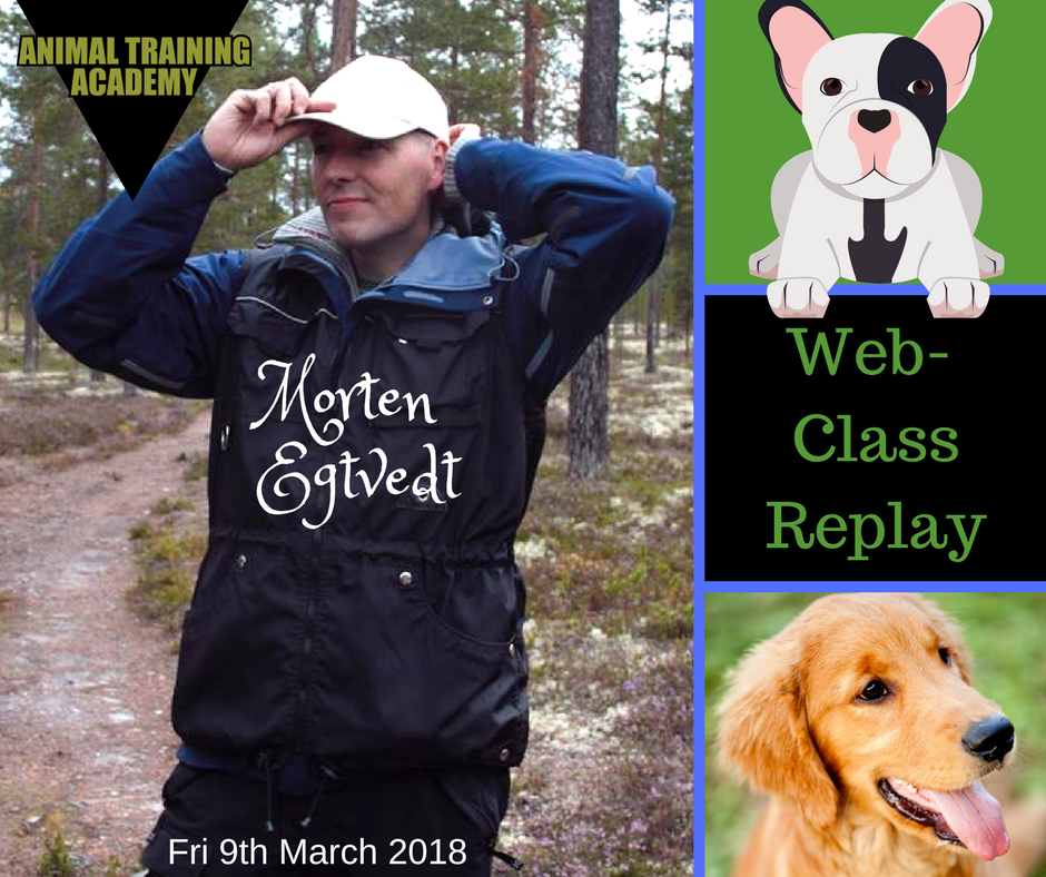 Shaping and teaching new behavior - Animal Training Academy