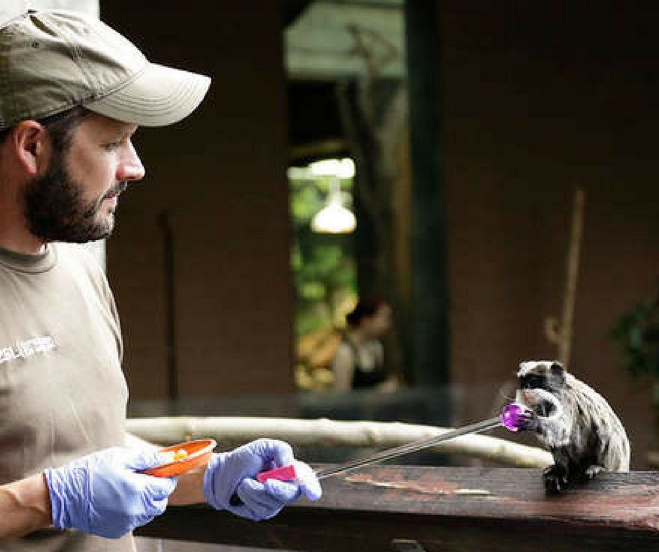 Jim Mackie - Animal Training and behavior officer, Zoological society ...