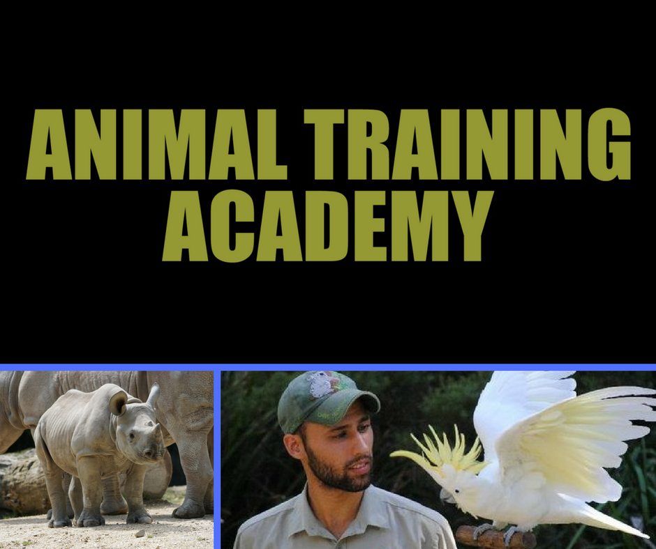 Zoo Keeper content - Animal Training Academy