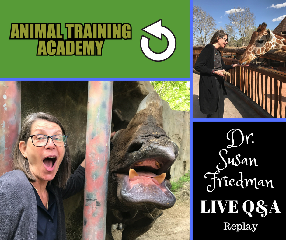 Dr. Susan Friedman LIVE Q&A #2 (Web-class replay) - Animal Training Academy