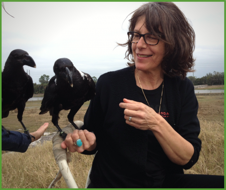 Susan Friedman LIVE Q&A - 2019 - Animal Training Academy