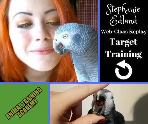 Shaping and teaching new behavior - Animal Training Academy