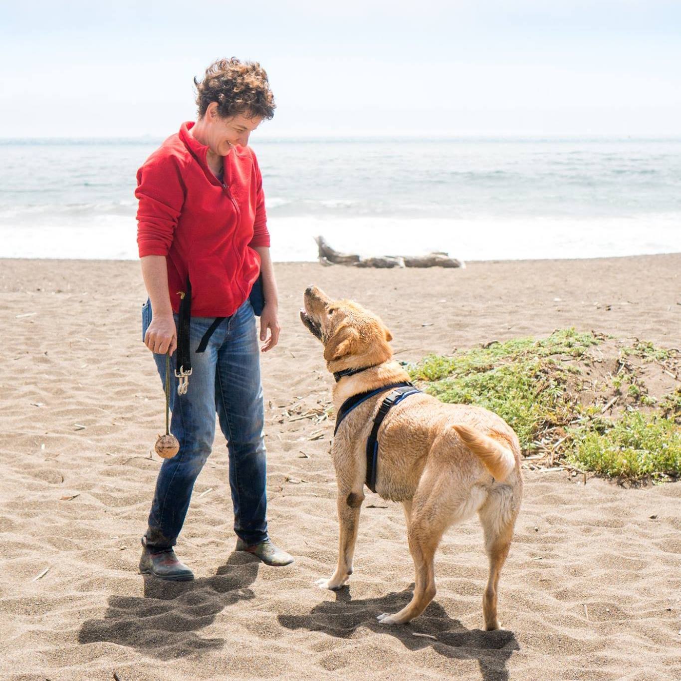 Sarah Owings. "Embracing Brave Learning / Let's Make Stimulus Control ...