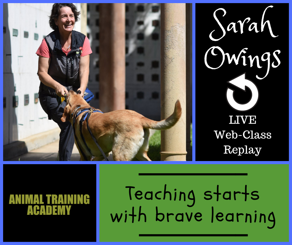 Sarah Owings - Teaching starts with brave learning - Animal Training ...