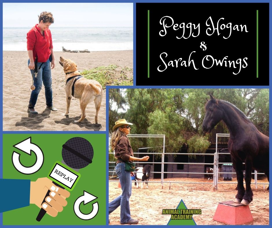 Peggy Hogan & Sarah Owings - Two Species, one journey! - Teaching ...