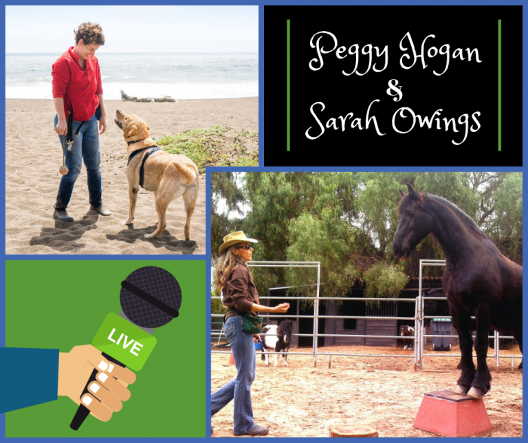 Peggy Hogan & Sarah Owings - Two Species, one journey! - Teaching ...