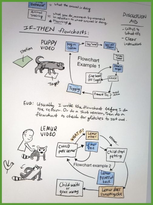 Does your animal training flow[chart]? ? - Animal Training Academy