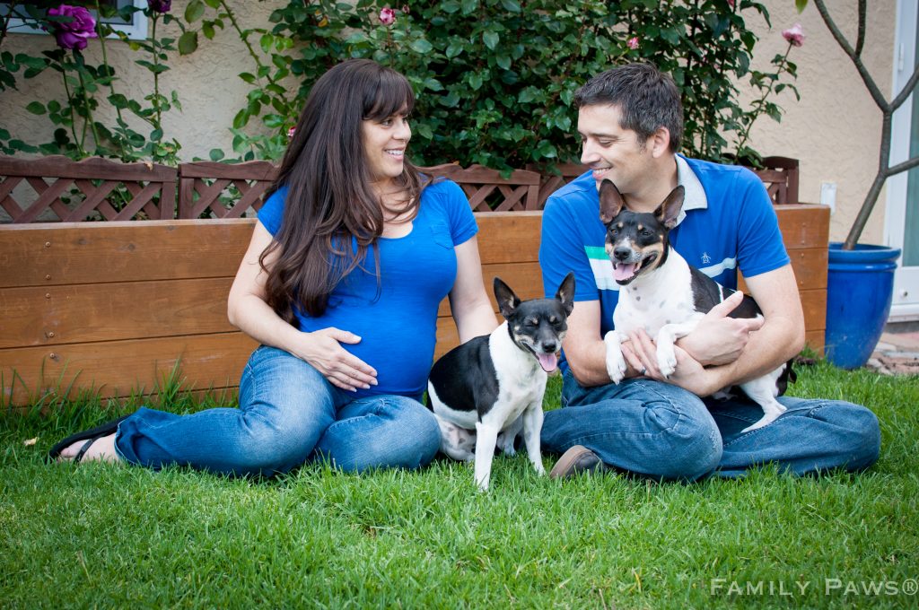 [Episode 104] Jennifer Shryock - Family Paws - Animal Training Academy