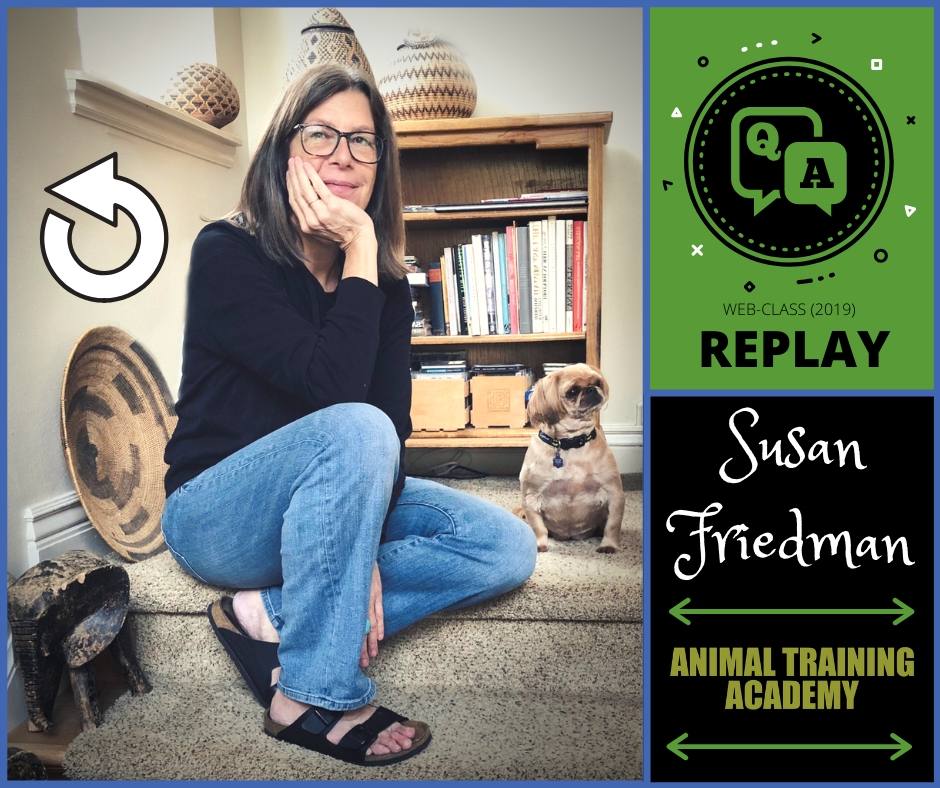 Susan Friedman LIVE Q&A - 2019 - Animal Training Academy