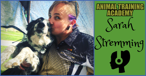 [Episode 107] - Sarah Stremming - The Cognitive Canine - Animal ...