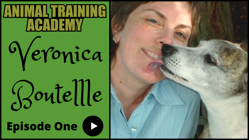 5 animal-training business lessons from Veronica Boutelle - Animal ...