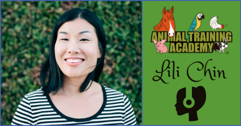 [Episode 120] Lili Chin - Changing the world one drawing at a time ...