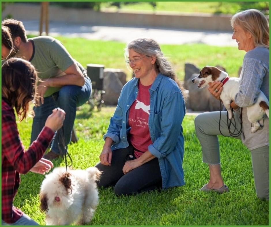 [Episode 126] Caitlin Coberly - Dog training 101 & running online ...