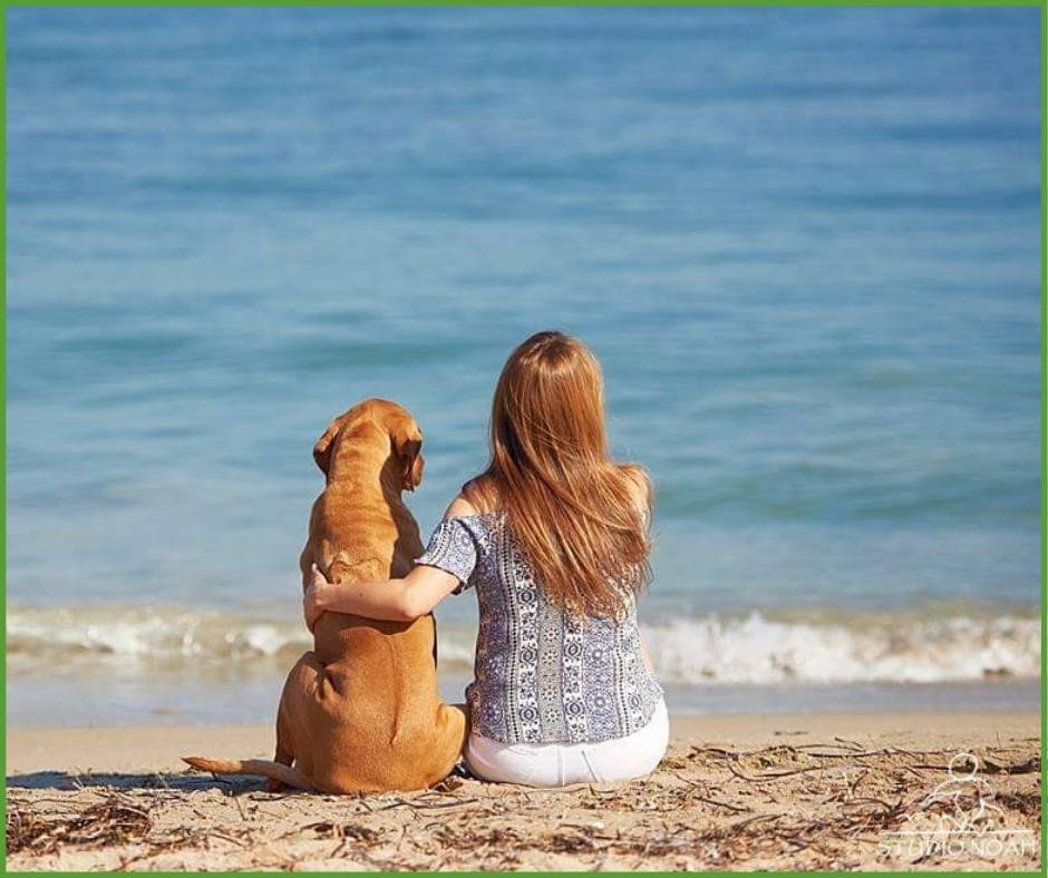 [Episode 128] - Sonya Bevan; Part 1 - Dog charming in Perth, Australia ...