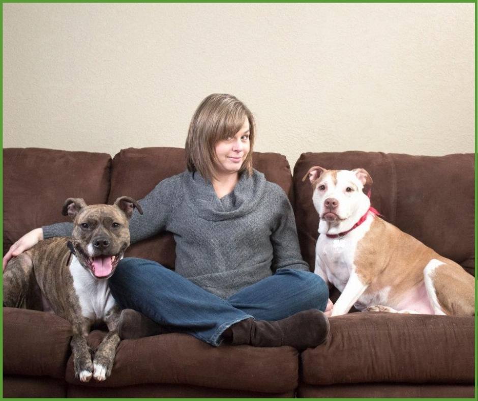 How to introduce dogs/animals [my 6 biggest lessons]. By Shelly Wood ...