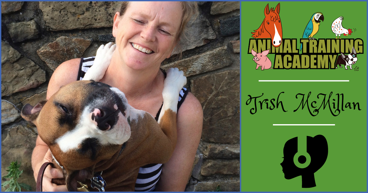 [Episode 130] - Trish McMillan; Improving shelters in 2020 & beyond ...