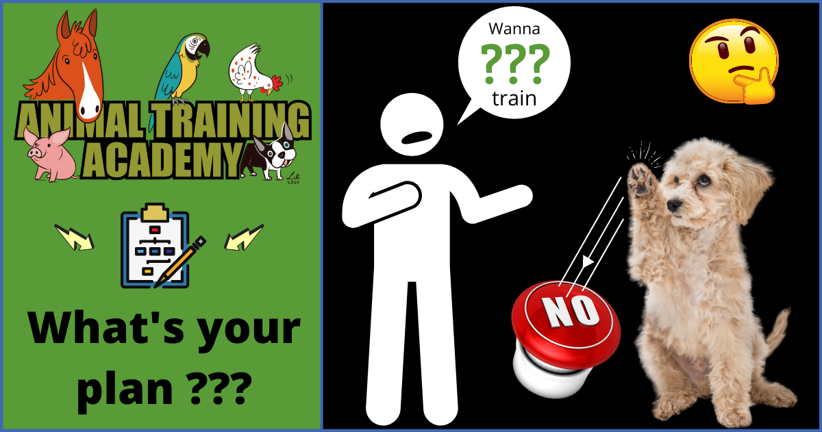 What's your plan if your animal says NO? ? ? - Animal Training Academy