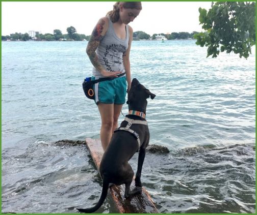 [Dog training]; Pattern games with Jack & Jill 🐾 - By Jill Hassevoort ...