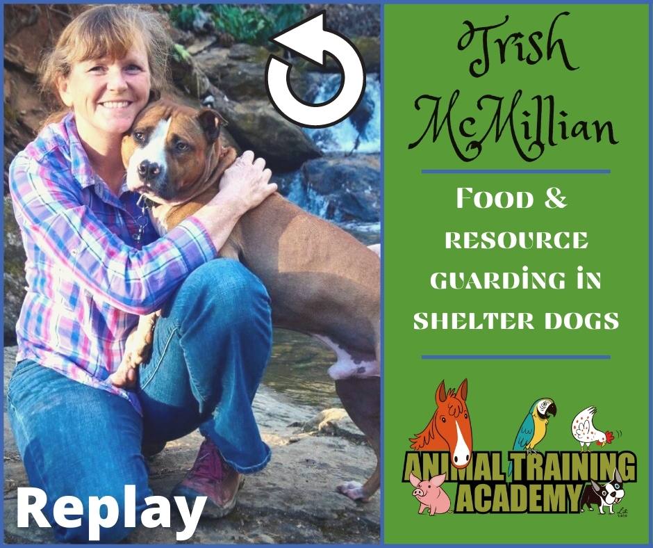 Trish McMillian - Food and resource guarding in shelter dogs - Animal ...