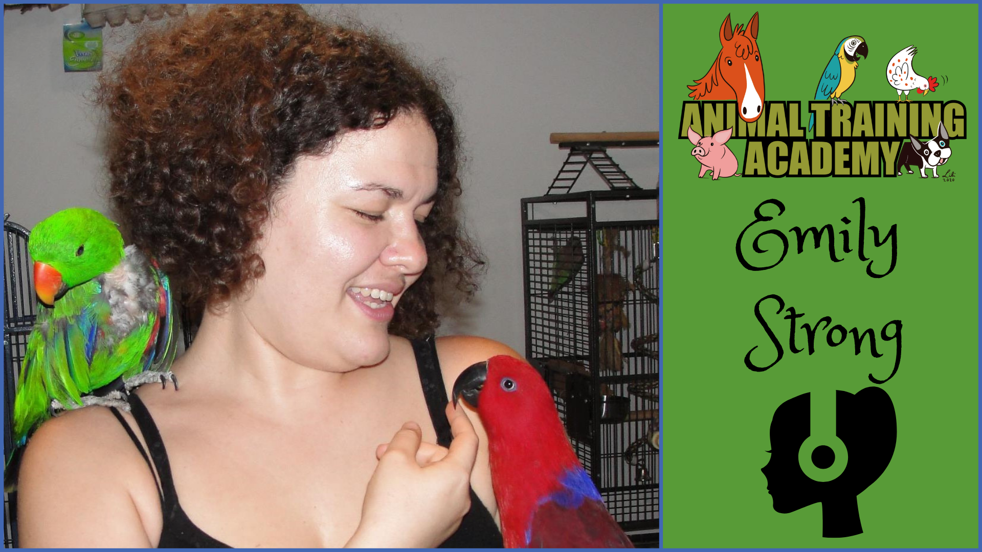 [Episode 154] - Emily Strong; Canine Enrichment for the Real World ...