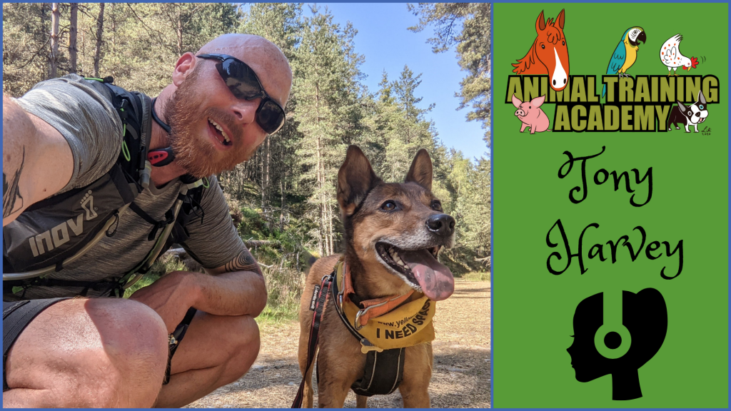 [Episode 152] - Tony Harvey; Guide dogs UK & TAG teach - Animal ...